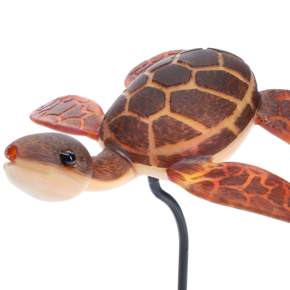 Addison Hanna Sea Turtle – Sunshine Daydream